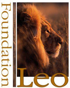 Collaboration - Leo Foundation